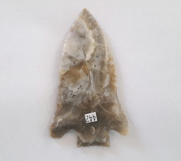 Fl. Clay type Arrowhead, LARGE and translucent! - Fossils & Artifacts ...