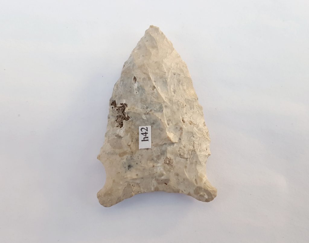 Florida arrowheads Archives - Fossils & Artifacts for Sale | Paleo ...