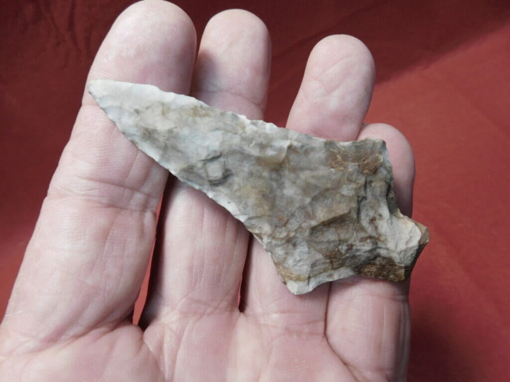 Thonotosassa type arrowhead Honey chert - Fossils & Artifacts for Sale ...