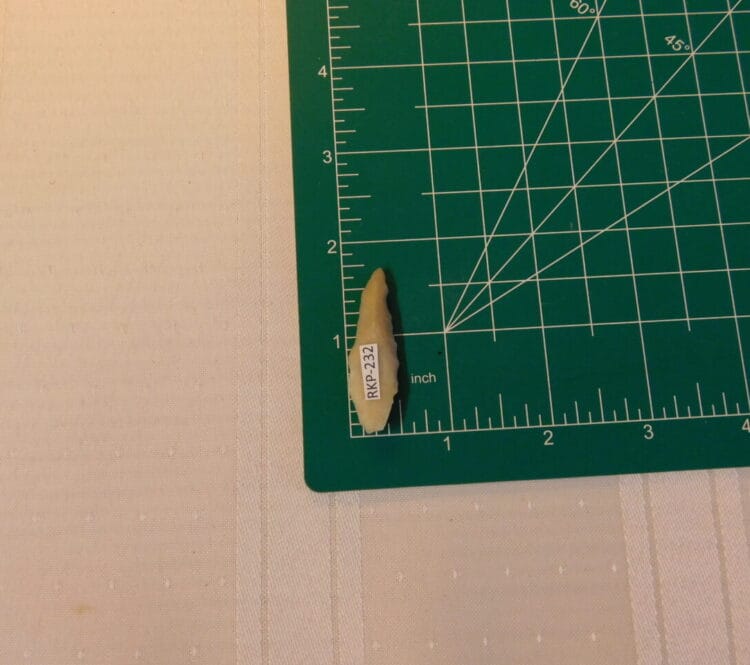 FL Spike Artifact - Translucent - Fossils & Artifacts for Sale | Paleo ...