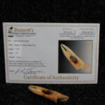 Inuit Harpoon Toggle- CERTIFIED - Fossils & Artifacts for Sale | Paleo ...