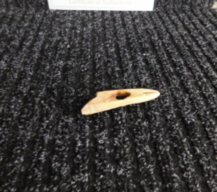 Inuit Harpoon Toggle- CERTIFIED - Fossils & Artifacts for Sale | Paleo ...