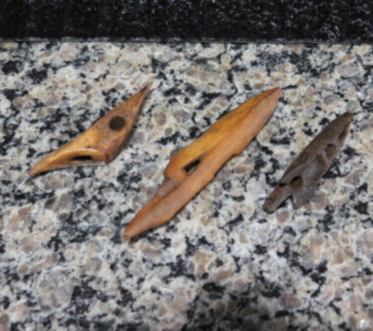 Inuit Harpoon Toggle- CERTIFIED - Fossils & Artifacts for Sale | Paleo ...