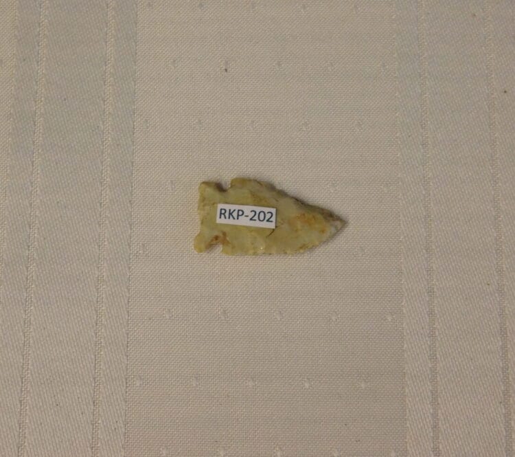 Taylor Projectile Point type artifact Fl. - Fossils & Artifacts for ...