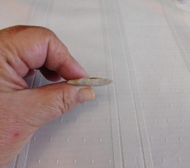 Wheeler Triangular type arrowhead, TRANSLUCENT - Fossils & Artifacts ...