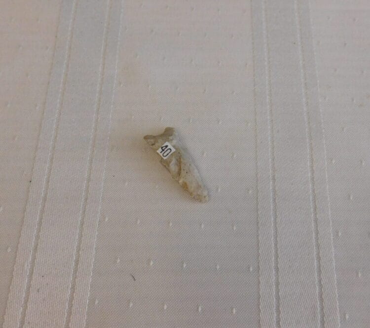 Wheeler type arrowhead - Fossils & Artifacts for Sale | Paleo Enterprises