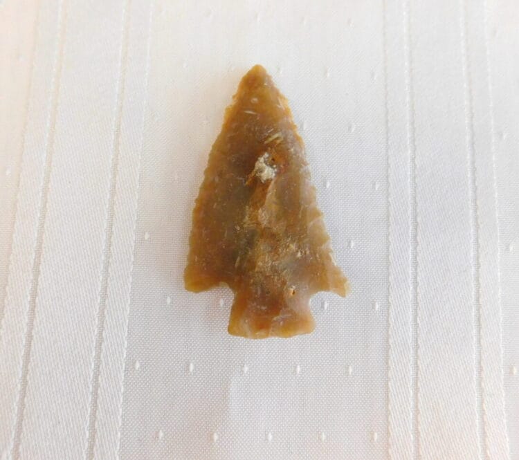 Ledbetter Type Point - COA - Fossils & Artifacts for Sale | Paleo ...